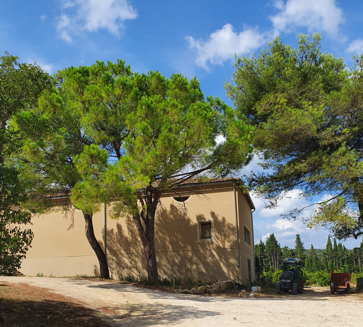 Une dégustation de vins Tavel ouverte au Lirac : château de ségriès